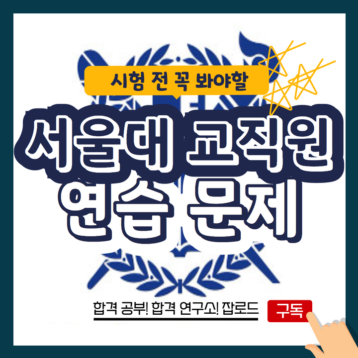 시험 대비 서울대 교직원 파이널 정리 연습 문제 첨삭 컨설팅